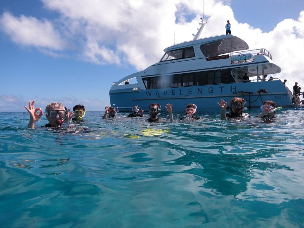Port Douglas Snorkeling - Wavelength - Adventures Port Douglas